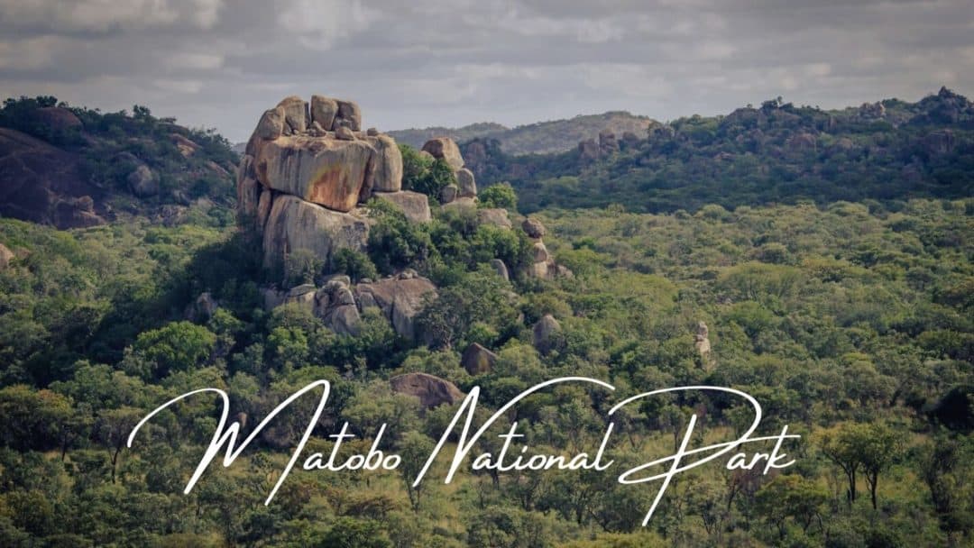Zimbabwe National Parks - Our Guide to 8 Great National Parks