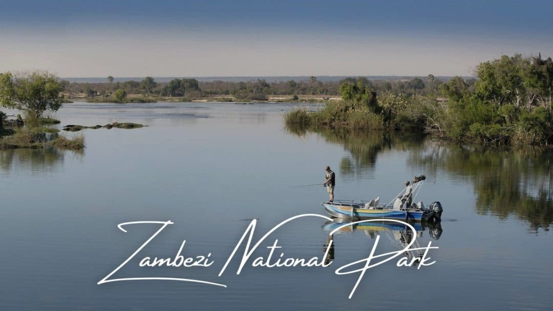 Zimbabwe National Parks - Our Guide to 8 Great National Parks